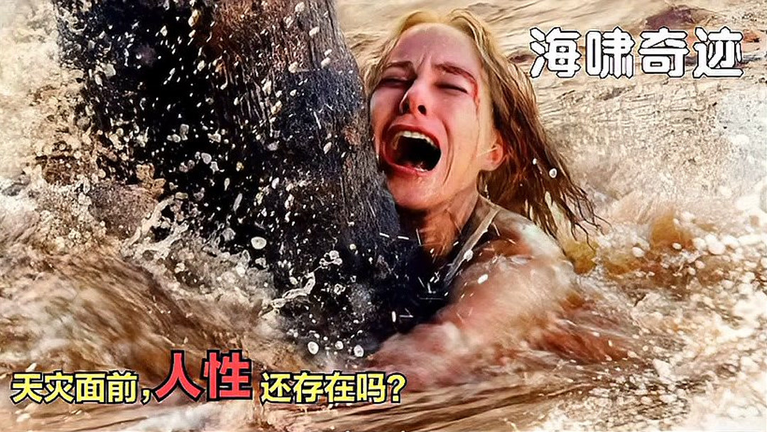 真实海啸改编,04年大海啸有多可怕?几秒内吞没小岛!