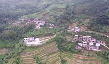 第一书记谭荣文:发展特色产业 助力乡村振兴