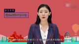 十九大聊天指南:十九大到底是啥?