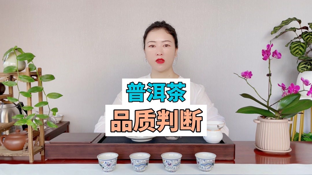 普洱茶品质怎么判断?