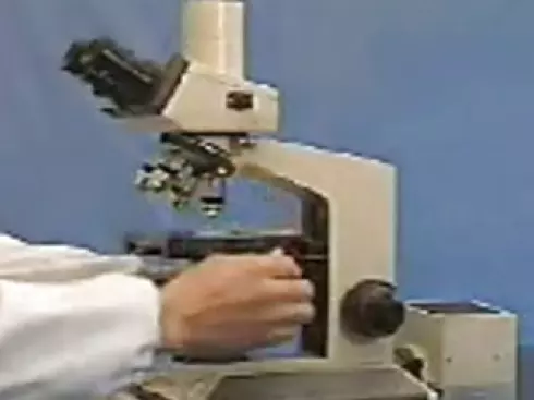 相差显微镜的使用