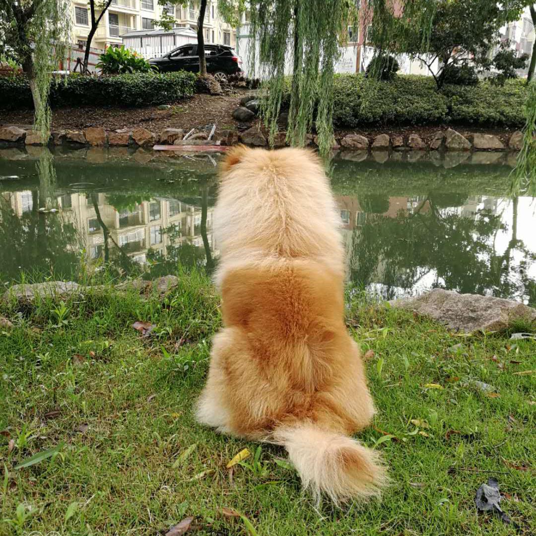 情乐儿 