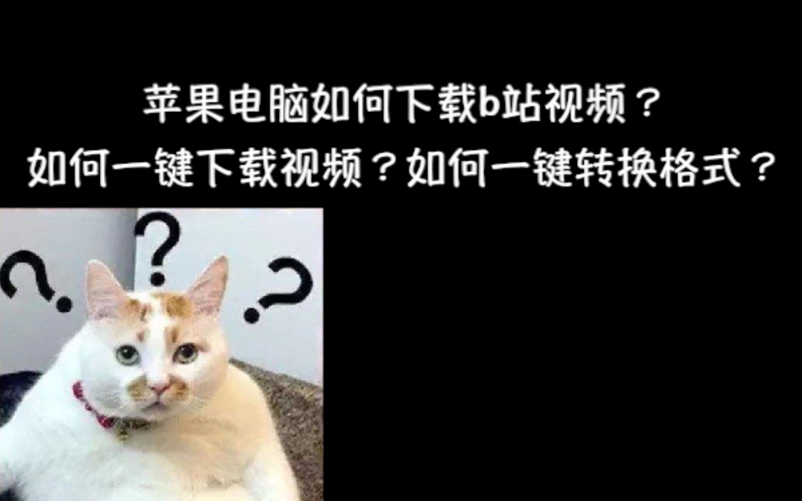 苹果电脑/如何一键下载bibili视频vs如何一键转换视频格式/macbook pro