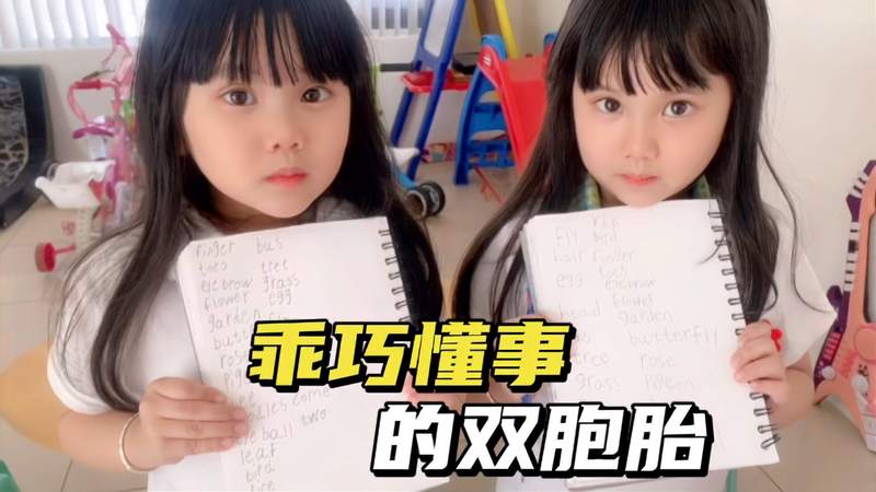双胞胎又懂事又爱学习,看我平时是如何教导的,太有办法了