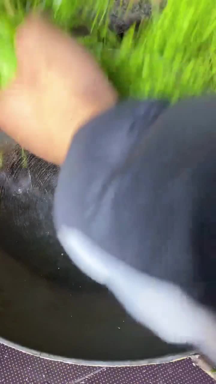 同志们今天三月三啦,一定要吃地菜煮鸡蛋哦