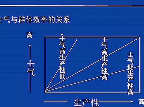 组织行为学20.flv