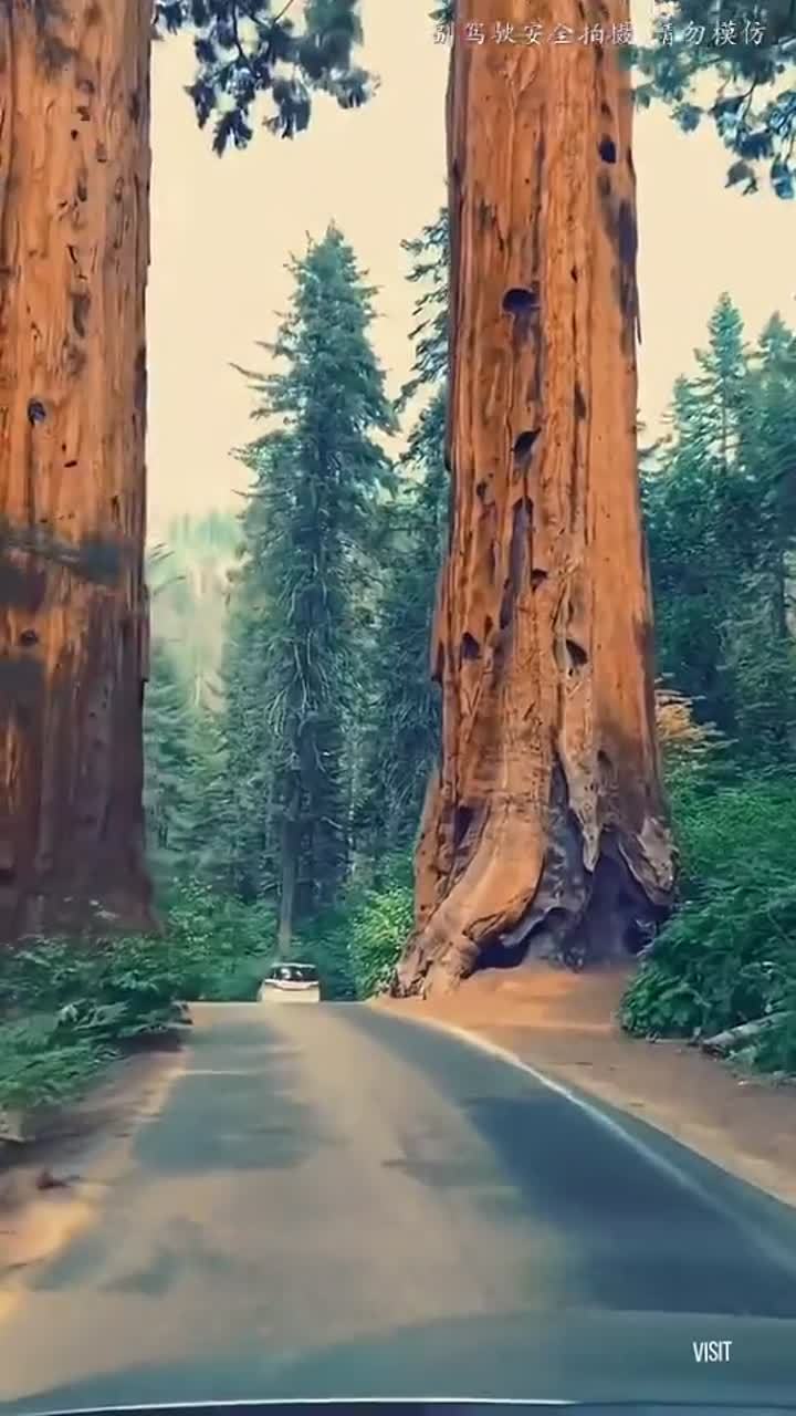 原来动画里的场景真的存在,这大概就是离职宣传片吧