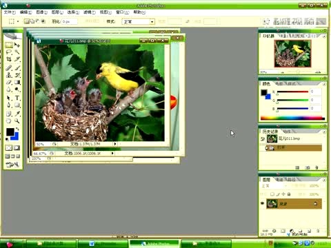 4、Photoshop第一讲:PS的基本操作一