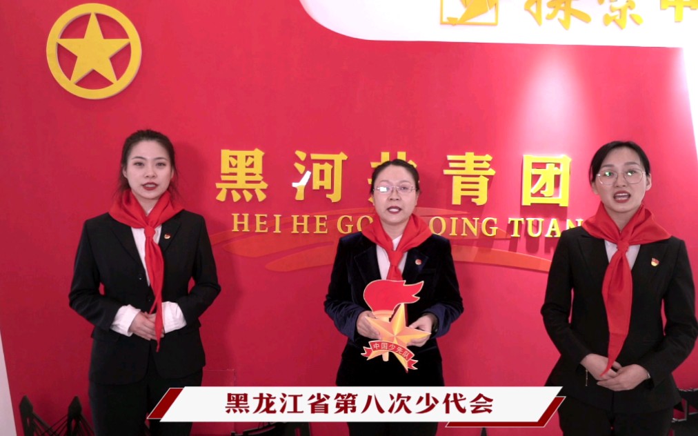 黑河市代表团向第八次省少代会报到!