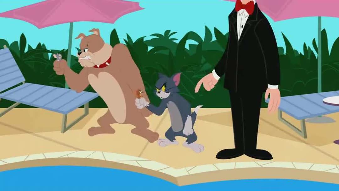 酒店的管理人员到底该怎样处理那些动物呢?