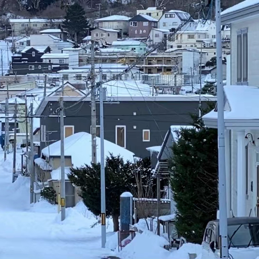 虾饺只能煮咖啡 