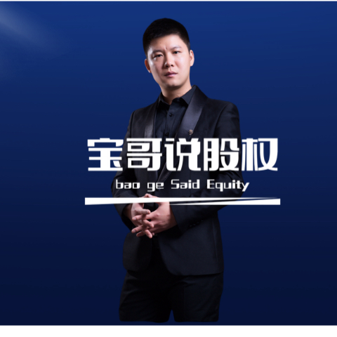 宝哥说股权 