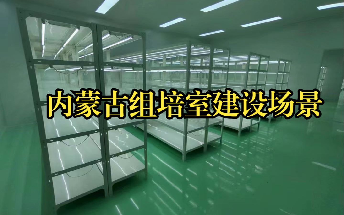 内蒙古组培室,组培实验室设计,组培设备,培养架,组培架,全套组培仪器,...