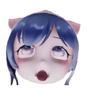 吴士木 