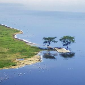 人生没有如果351 