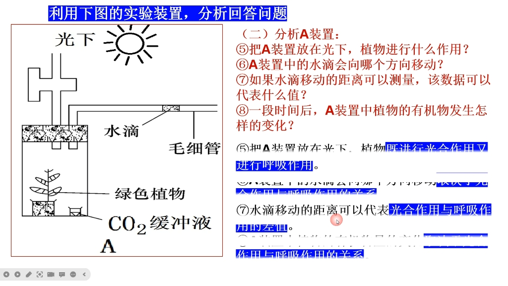 光合作用、呼吸作用、净光合实验
