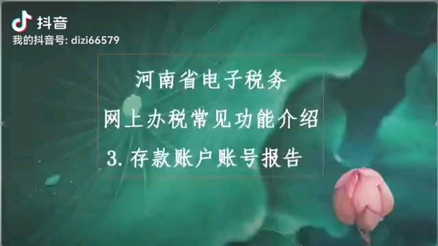 河南省电子税务网上办税常见功能介绍3.存款账户账号报告#电子税务#...
