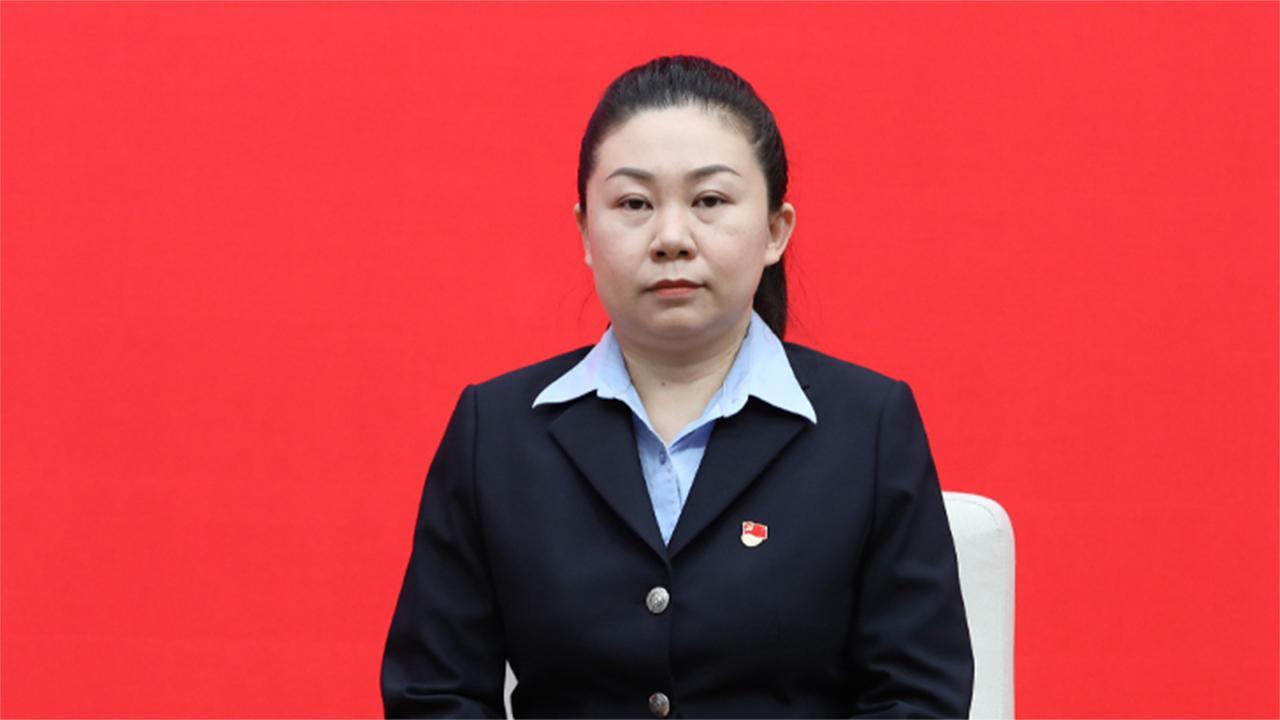 如何做好基层调解工作?党员代表谭秀云谈三个“坚持”