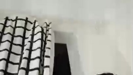 议论文素材理解与共识3