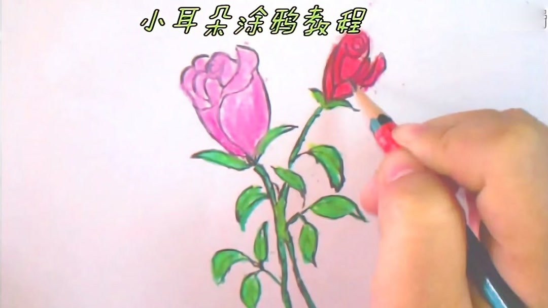 简笔画 玫瑰花
