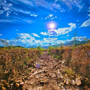 舌尖上的野王秃鹫 