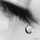 博学多才的哈哈世界 