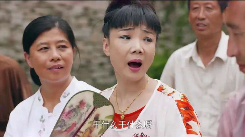 马向阳一张口就要把人均收入翻一番,怎料村民无一相信,冷嘲热讽