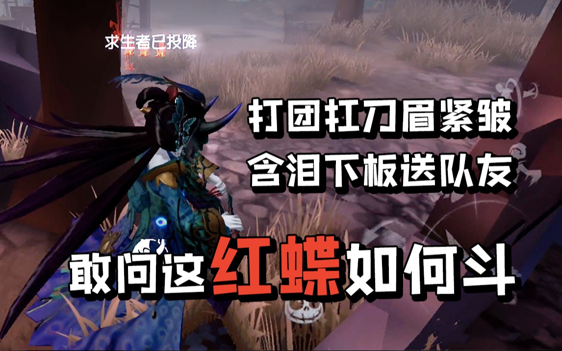 【第五人格】皮皮限 打团扛刀眉紧皱 含泪下板送队友 敢问这红蝶如何斗