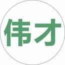 伟才塑胶原料 