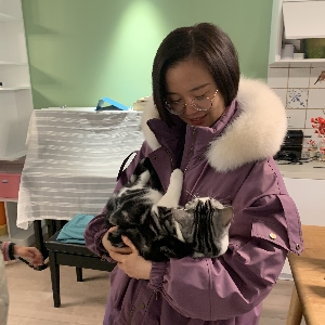 当刀刀遇到狗 