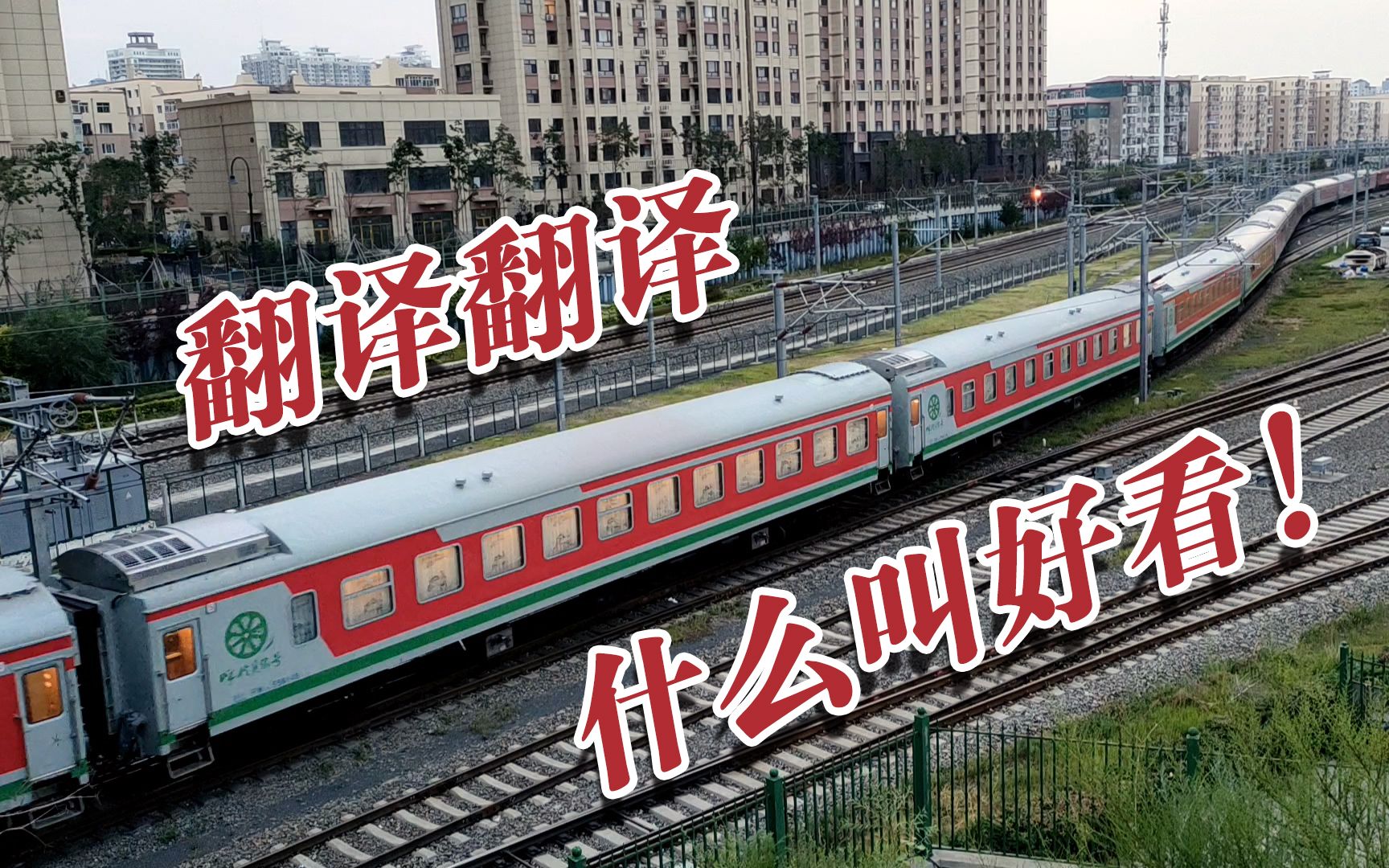【呼伦贝尔号】国铁最强旅游列车 0Y656 海拉尔-哈尔滨西 翻译翻译,...