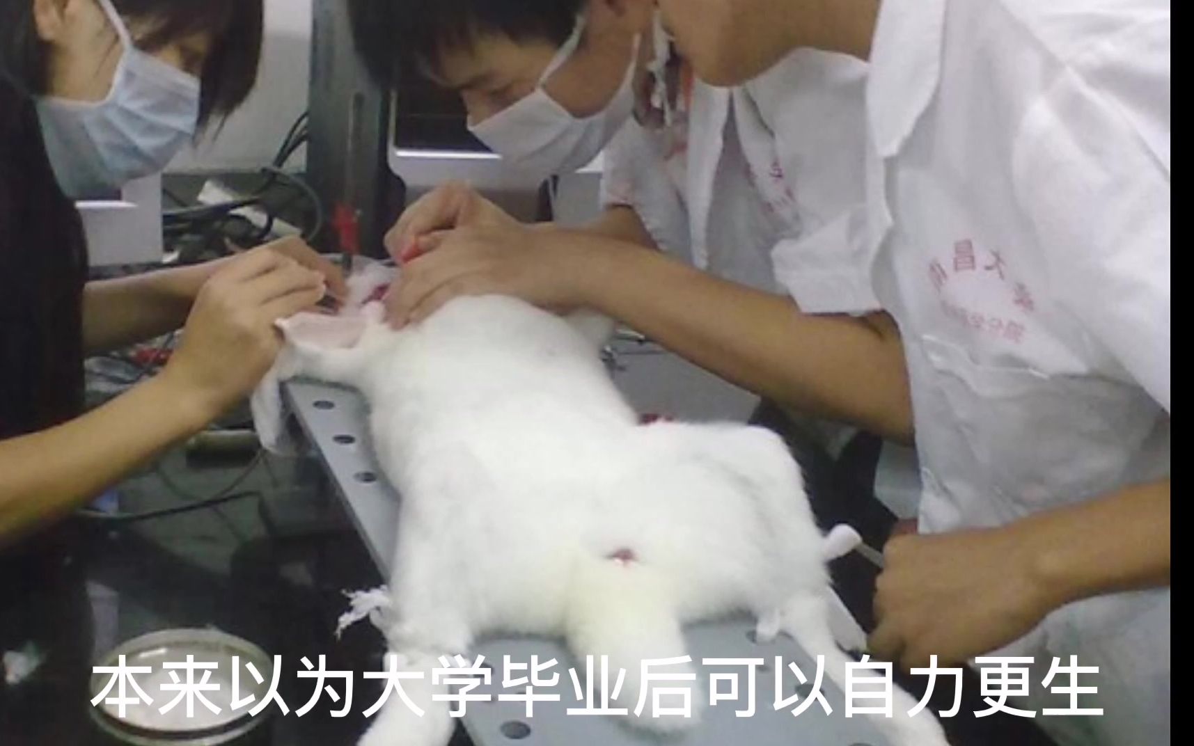 医学生毕业后找不到工作,转行做IT,用人单位说跨行太大,不想招