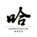 哈明导演 