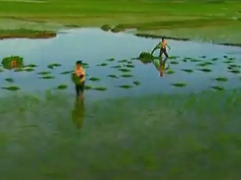 (苏教版六年级上)我们的地球——地球的表面