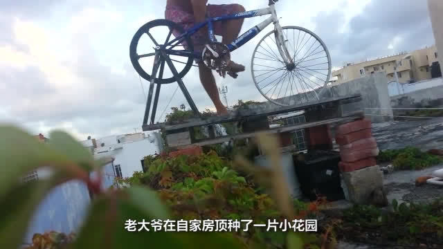 65岁老大爷发明"自行车"抽水泵,不用油不用电