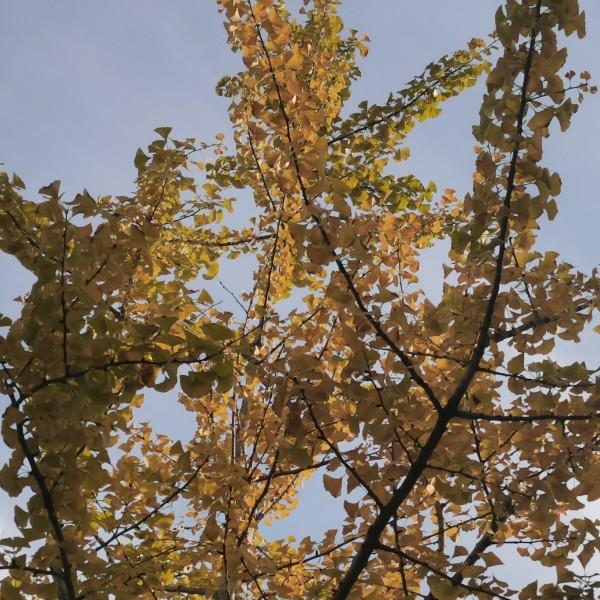 灌云移动分公司 