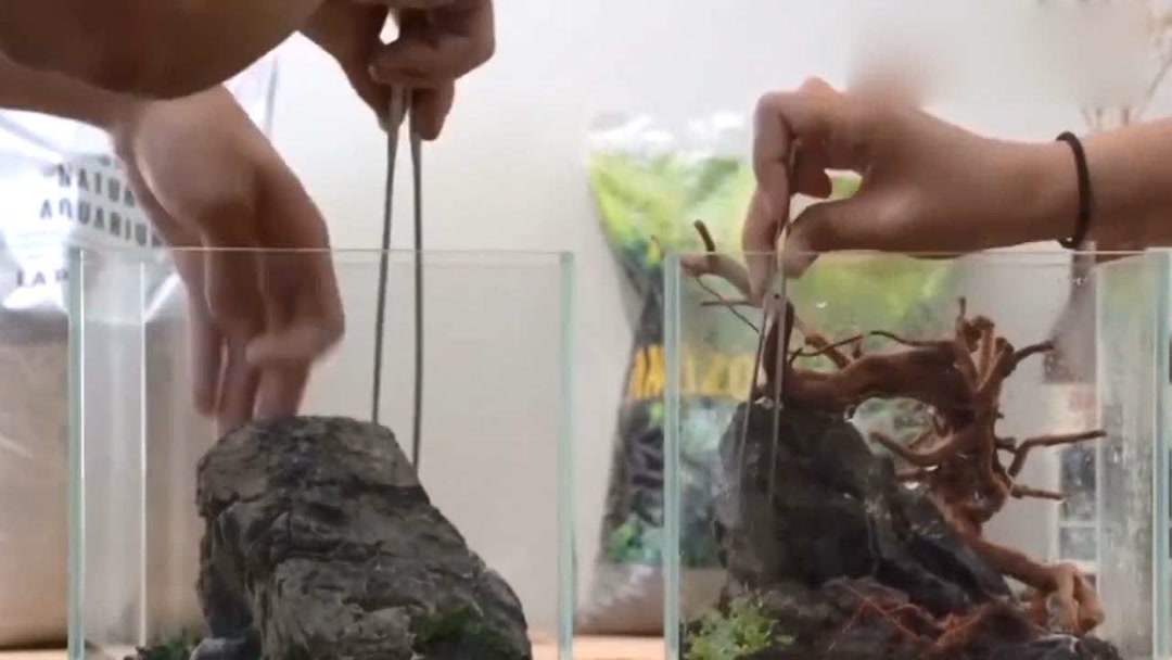教你迷你小鱼缸造景,生活总要有一些情调!