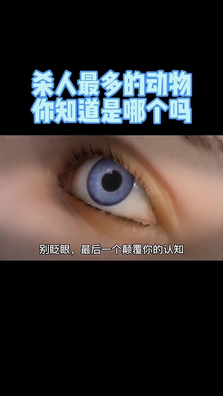 这是狼,每年造成死亡人数可达10人