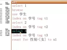 visual.foxpro程序设计15