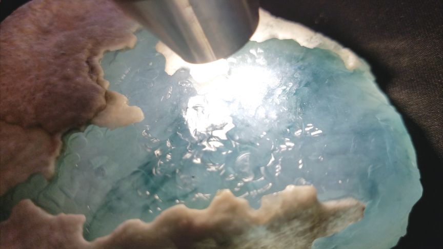 上吨的翡翠原石大多没有价值?选对原石才是关键!