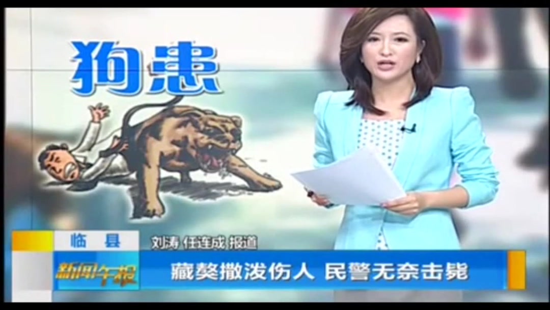 实拍藏獒闹事撒泼伤人 民警果断击毙