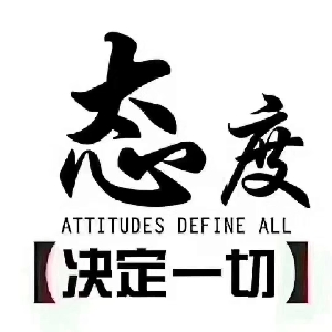 一个不会剪视频的up猪 