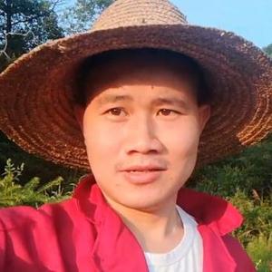 乡村创农阿剑 
