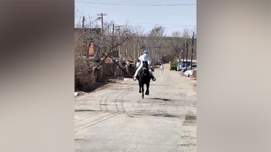 "大白"骑马上门送核酸试剂盒 网友拍到现场:手持缰绳土路上奔驰