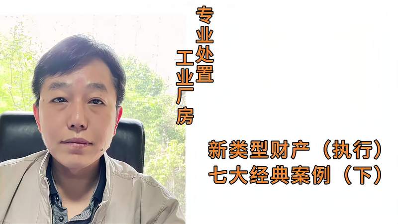新类型财产(执行)七大经典案例(下)
