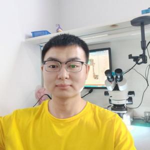 小金手机维修 