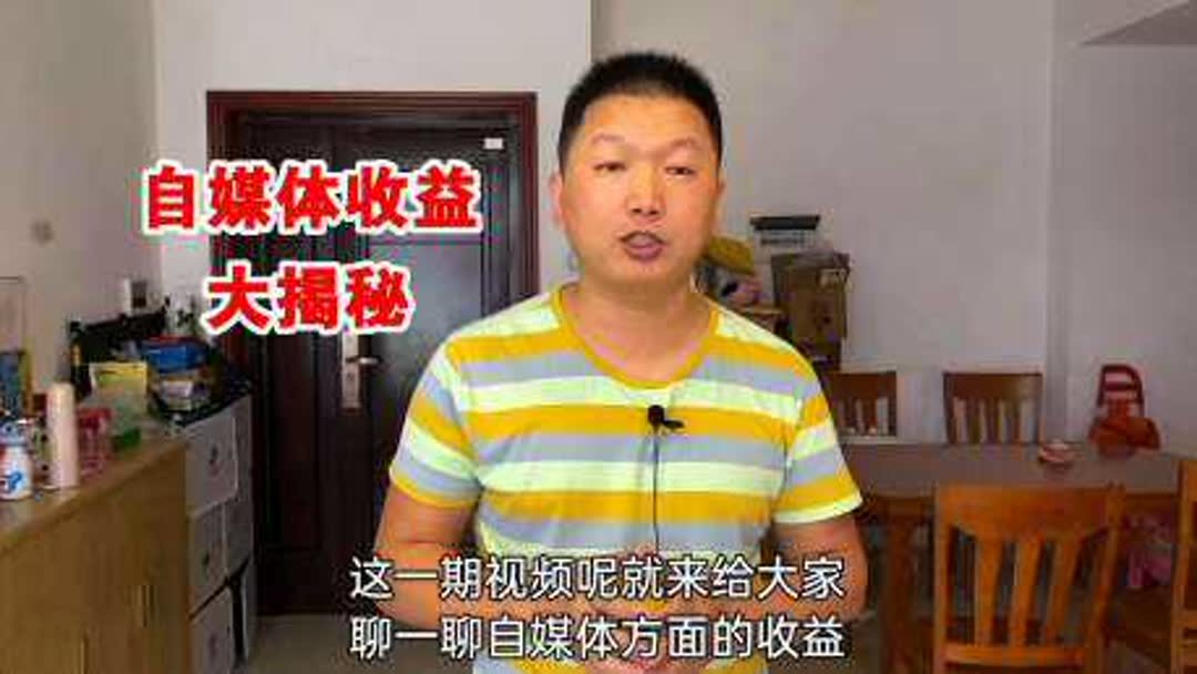 半吨先生一条视频花4700元买食材,播放量1100万,他能挣多少钱?