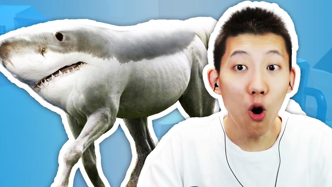 屌德斯同款、动物融合模拟器,动物融合大集合、鲤鱼Ace解说