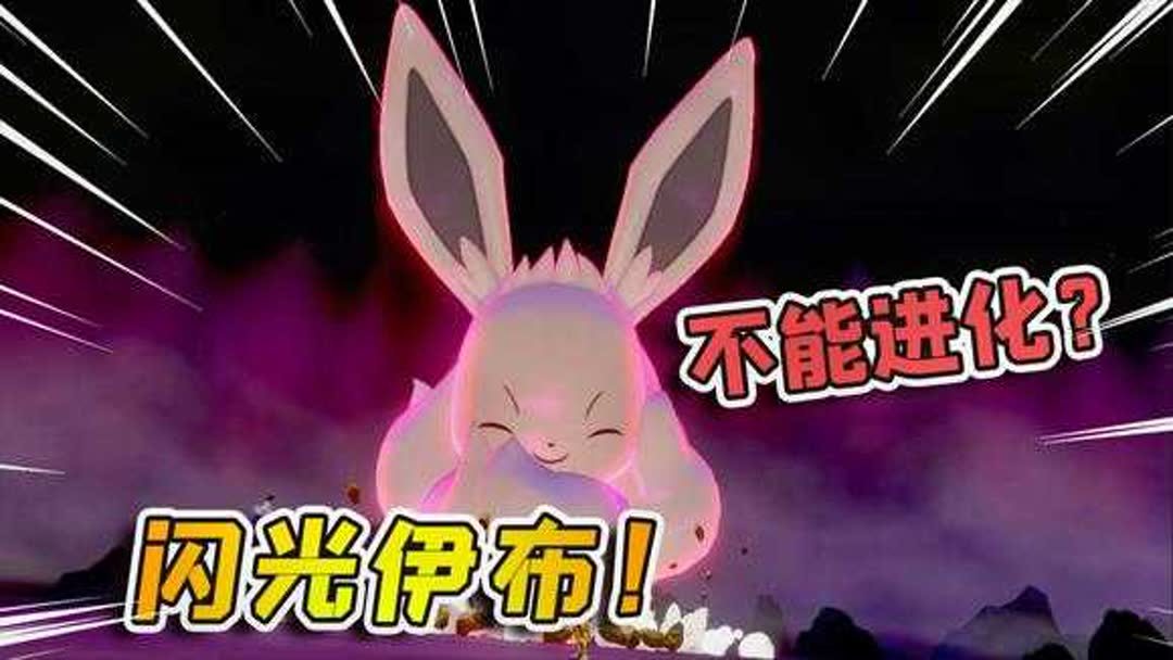 宝可梦剑盾67:获得的闪光伊布,可以超极巨化,却不能进化!