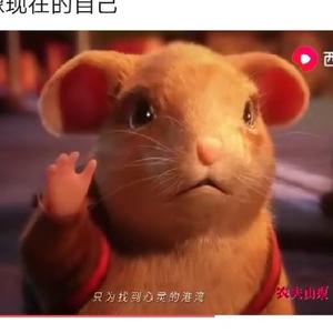 菜鸟解说SL 
